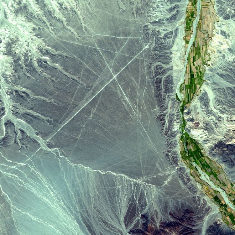 The Nazca Lines – On Art and Aesthetics
