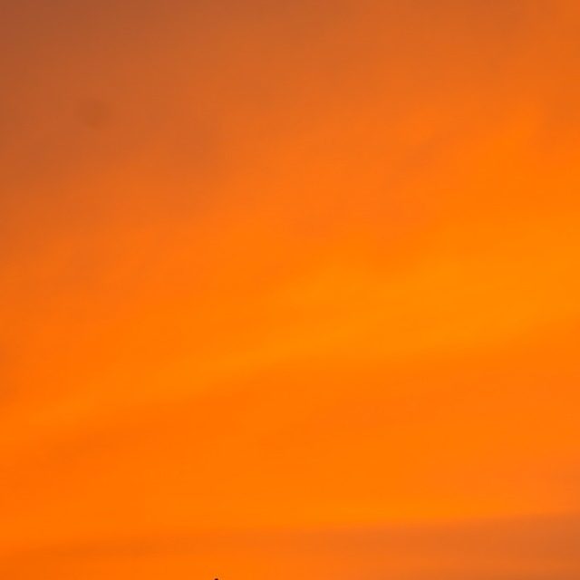 How to Triumph Like a Girl (From Ada Limón’s “Bright Dead Things”) – On ...