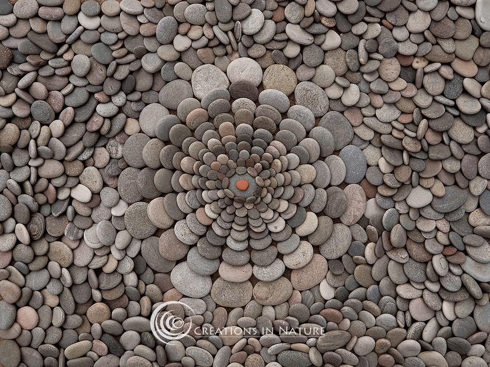 Land Art by Dietmar Voorwold: Rocks and Leaves Arranged into Beautiful ...