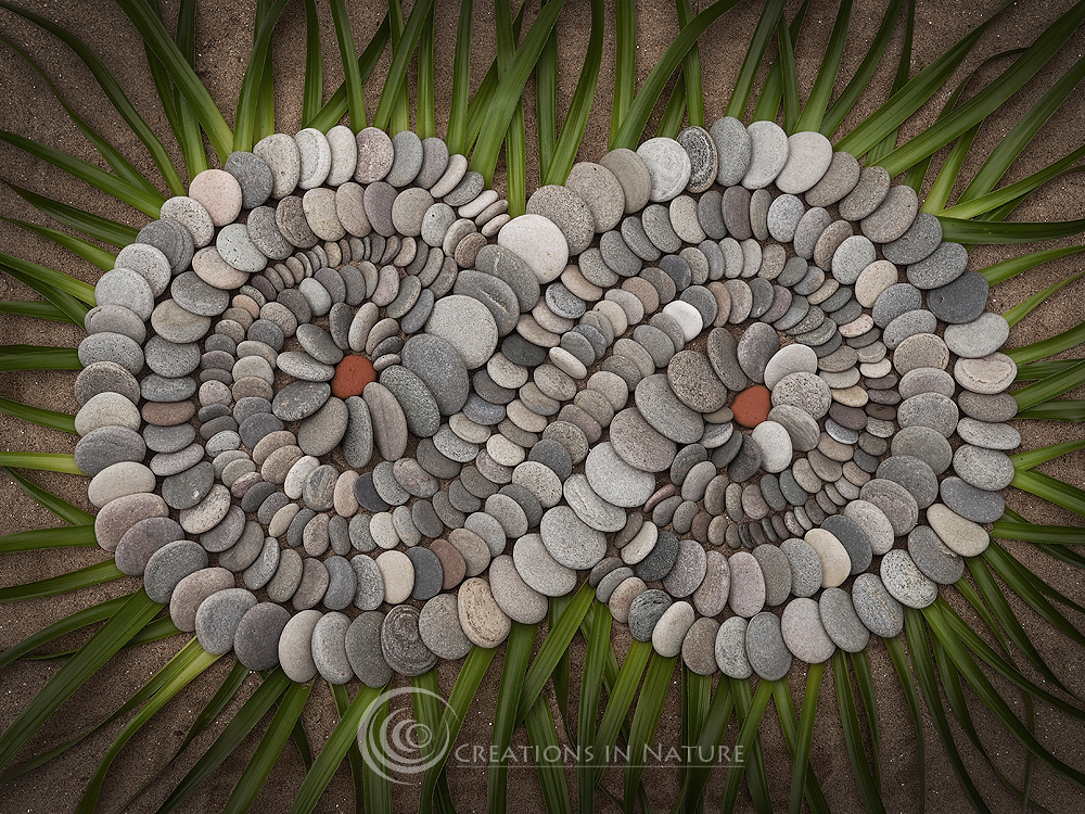Land Art by Dietmar Voorwold: Rocks and Leaves Arranged into Beautiful ...