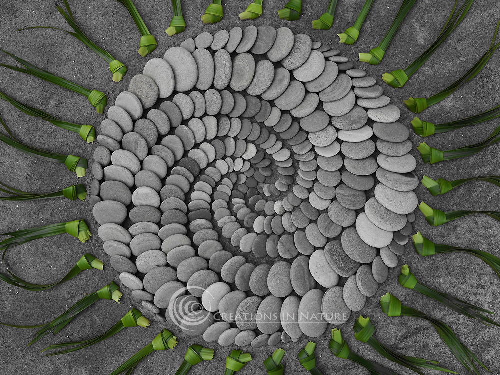 Land Art by Dietmar Voorwold: Rocks and Leaves Arranged into Beautiful ...