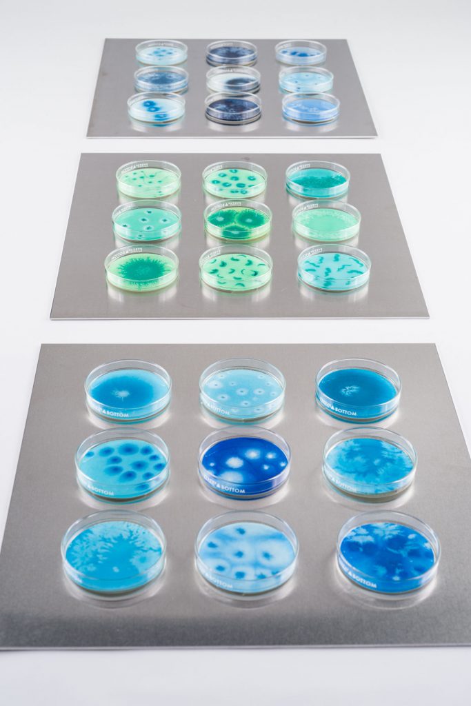 The World through the Interplay of Art and Science: Perspectives from ...